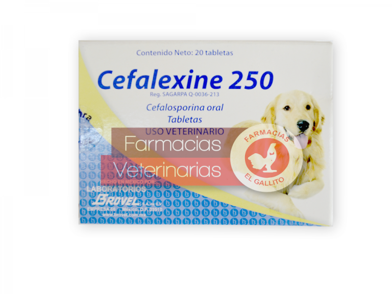 CEFALEXINE CAJA 20 TABLETAS 250 MG